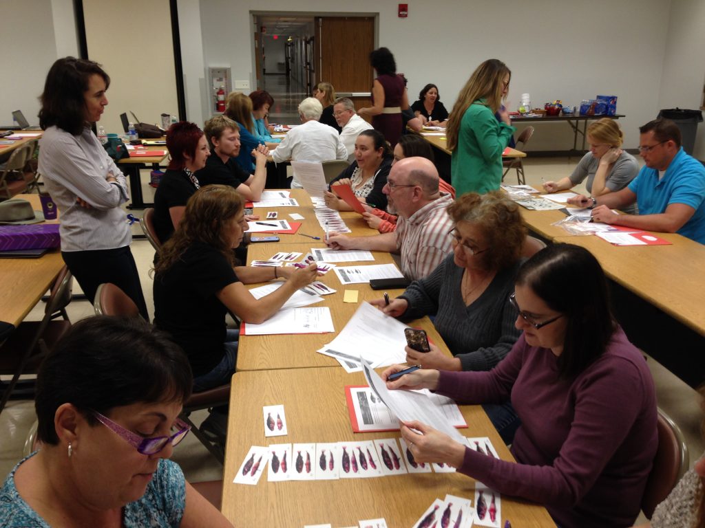 Home | Teacher Institute for Evolutionary Science